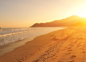 UV levels - Met Office