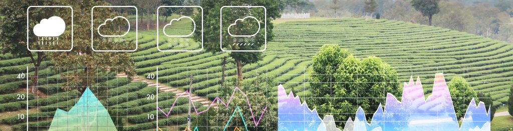 Exploring the evolution of data symbols activity - Met Office