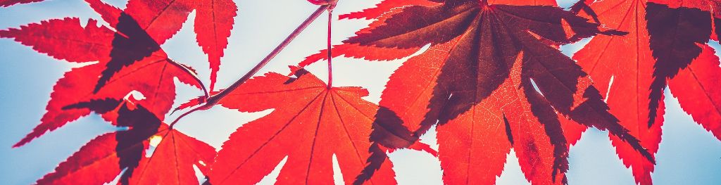 When does autumn start? - Met Office