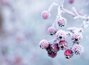 When does spring start? - Met Office