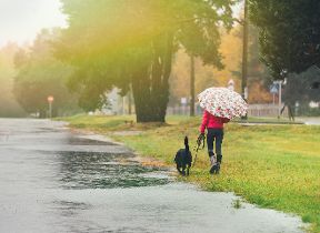 What are the different types of rain? - Met Office