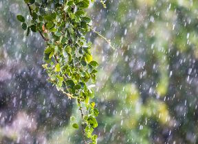 The Helm Wind - Met Office