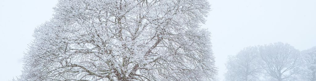 10 facts about snow - Met Office