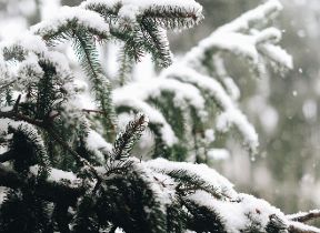 8 interesting facts about winter - Met Office
