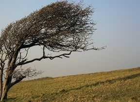 How is climate linked to extreme weather? - Met Office