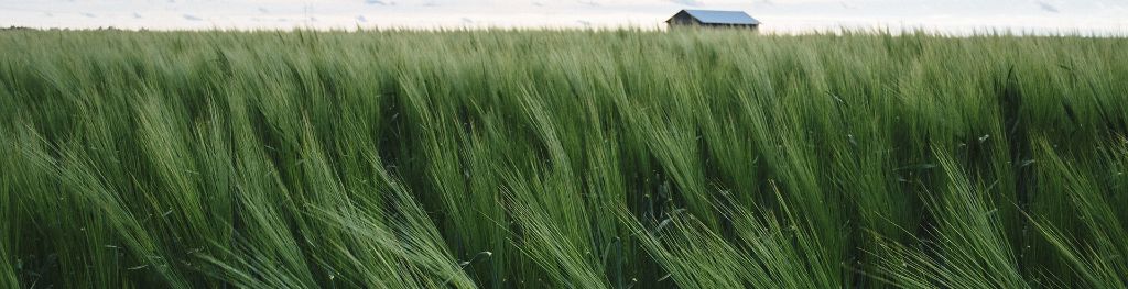 Winds of the world - Met Office