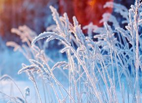 8 interesting facts about winter - Met Office