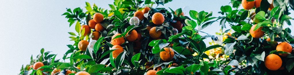 Spain weather - Met Office